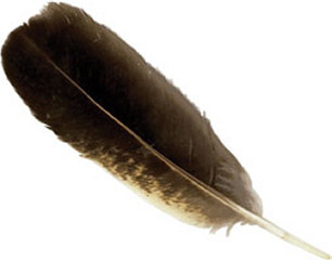 azVocab - Feather