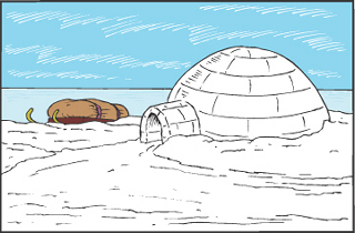 Igloo